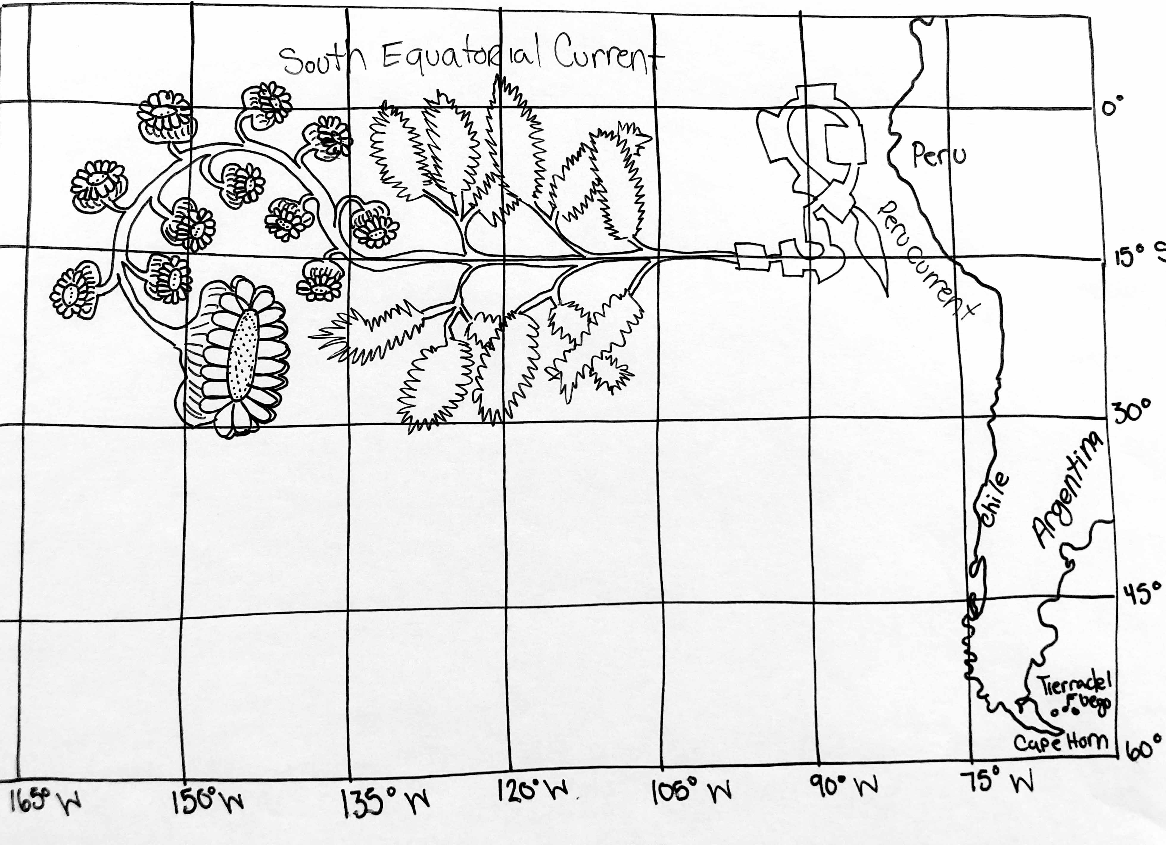 Folio 81r – Crossing the South Pacific – Tucker STEM Team