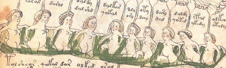 Folio 75v-Folklore of the Groundsel Flower – Tucker STEM Team