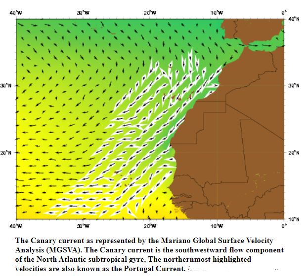 Folio 76r-Canary Current to El Hierro – Tucker STEM Team