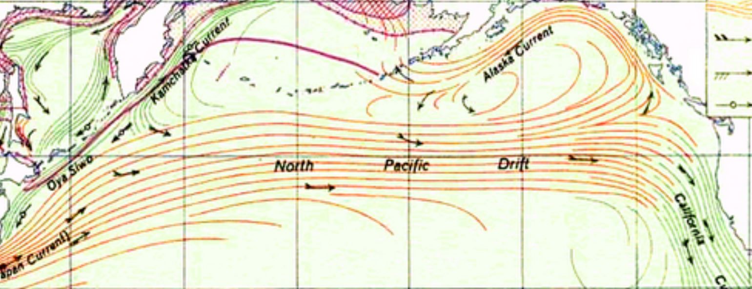 Folio 46v – Alaska Current – Tucker STEM Team