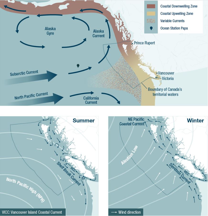 Folio 79r – Salish Sea & Sisters of Wind – Tucker STEM Team