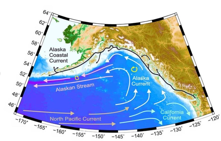 Folio 78v: Copper River, Alaska – Tucker STEM Team
