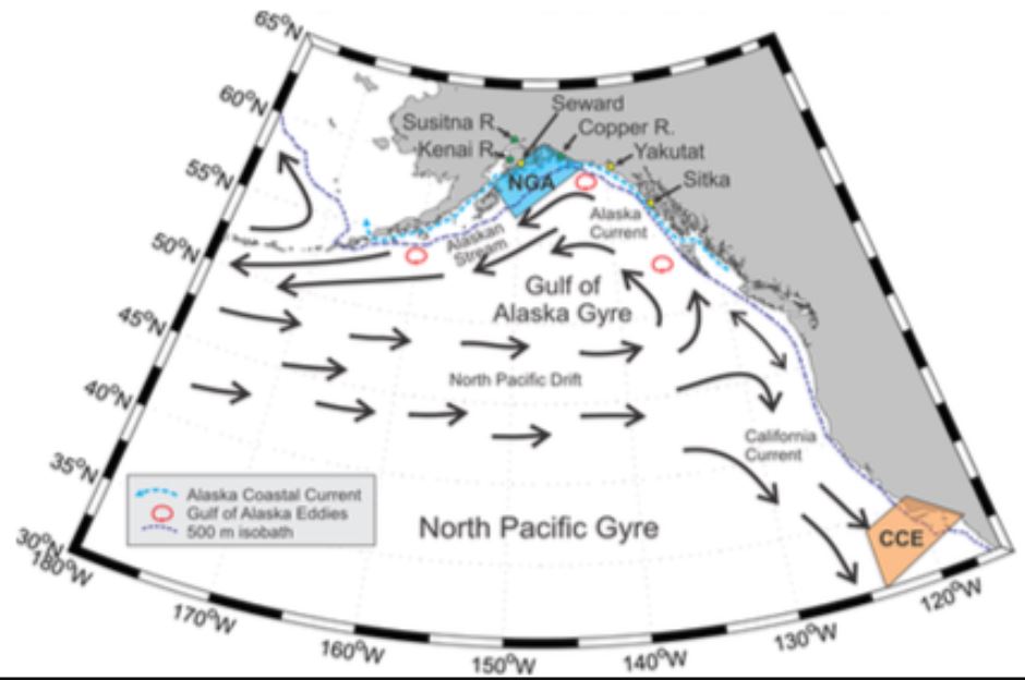 Folio 78v: Copper River, Alaska – Tucker STEM Team